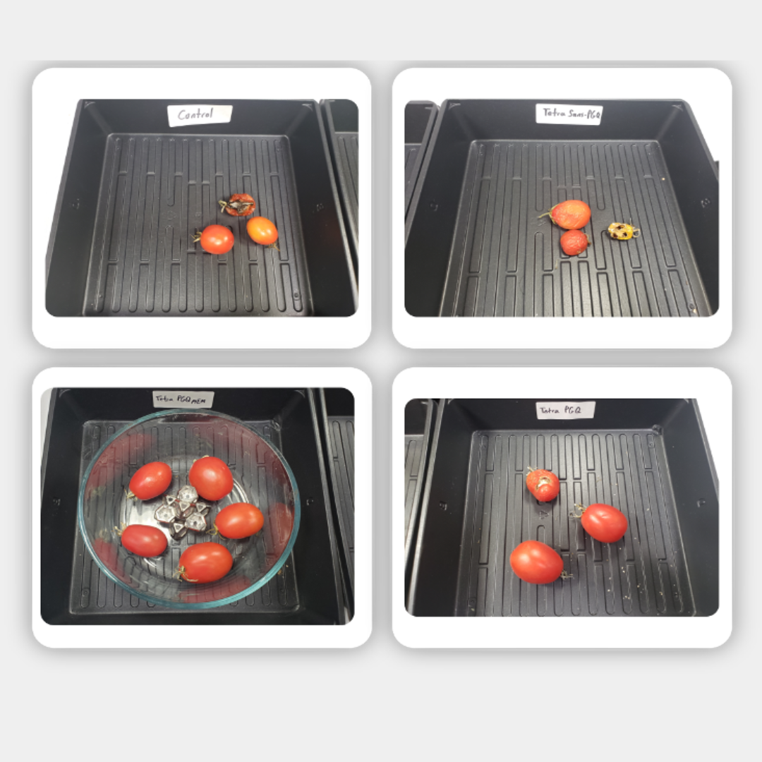 About ARK Crystals | Science-Backed Energy Enhancement