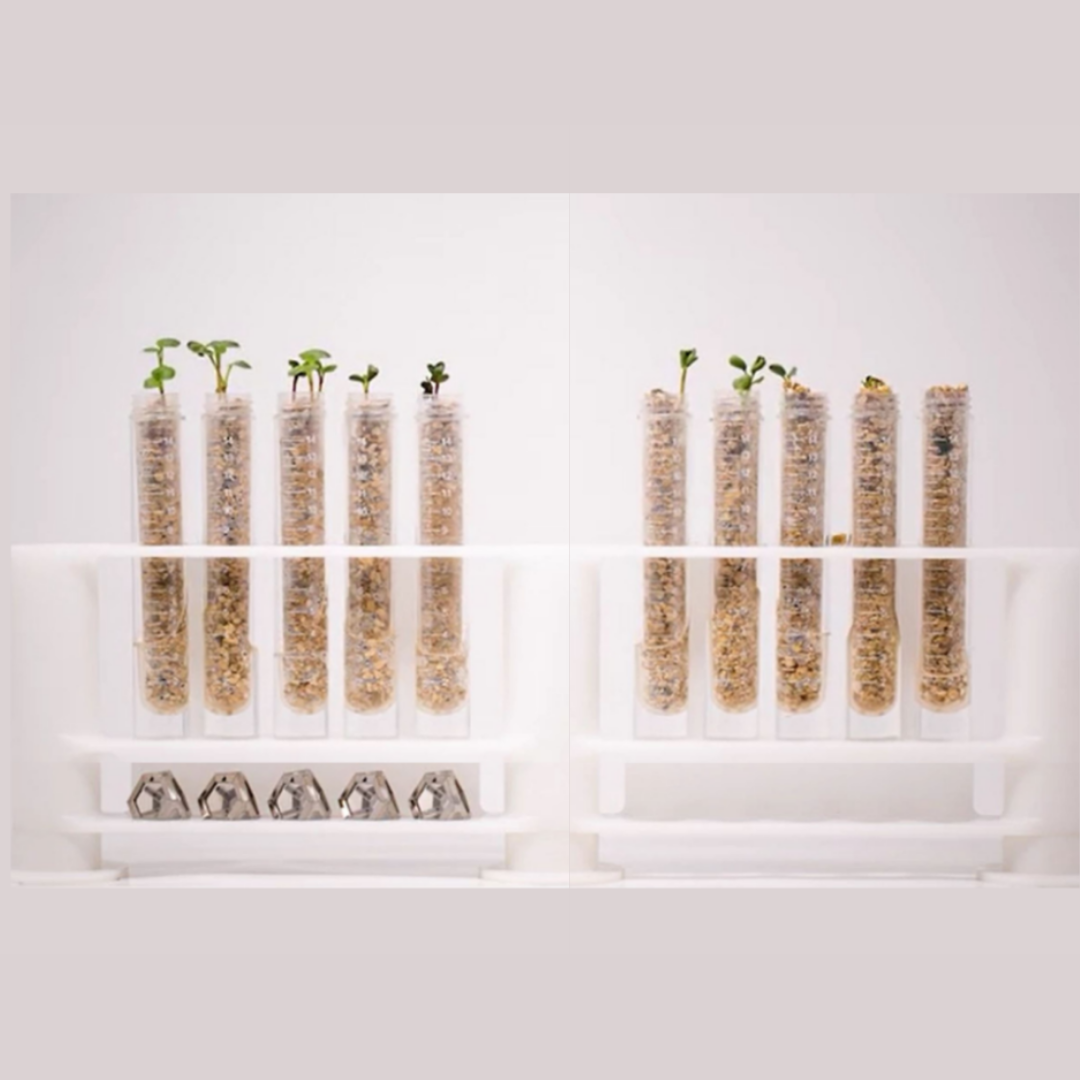 ARK Crystals | Biotechnology for ultimate wellbeing